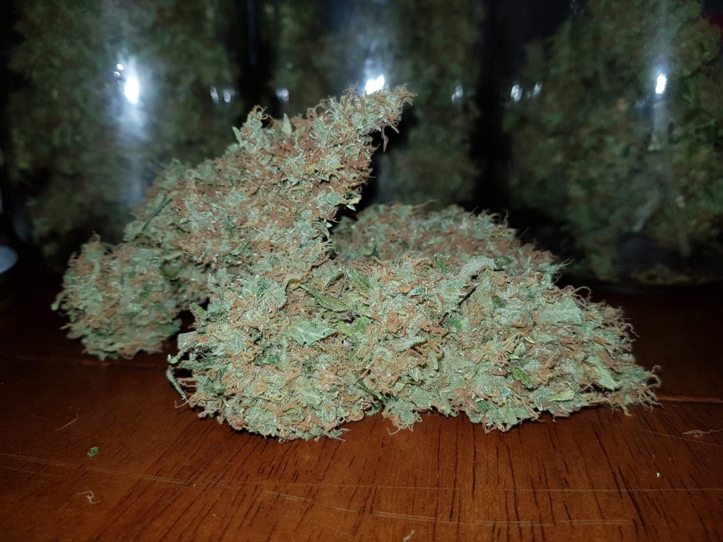 The Groovy History of Exodus Cheese – cannabisqualityresults.com