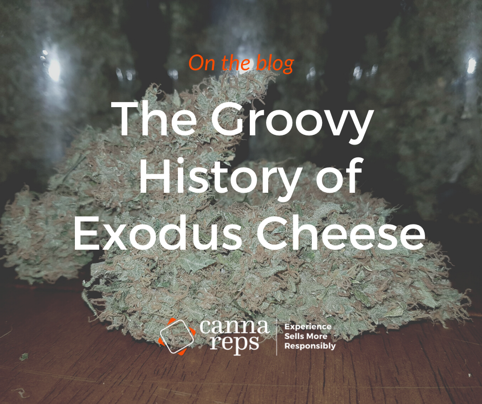 The Groovy History of Exodus Cheese – cannabisqualityresults.com